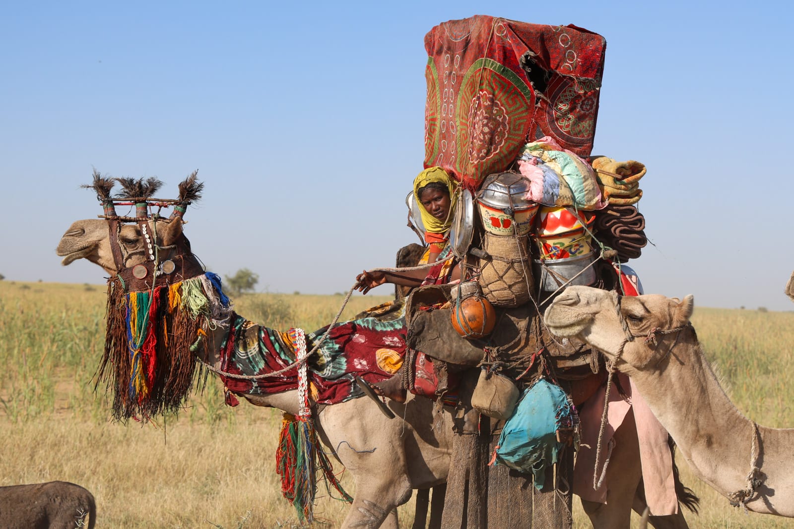 Pende tribe, a striking ethnic group in DRC - Kumakonda