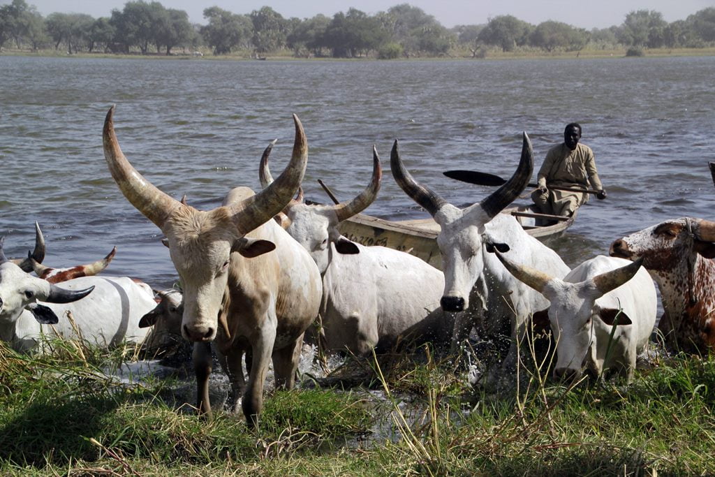 Introduction to the peoples and nomads of Lake Chad - Kumakonda