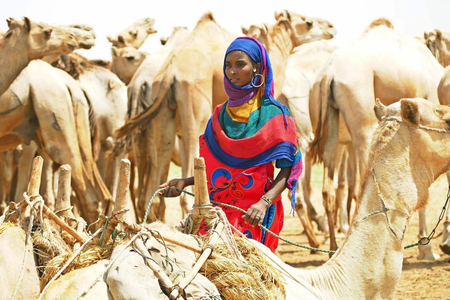 Introduction to the peoples and nomads of Lake Chad - Kumakonda