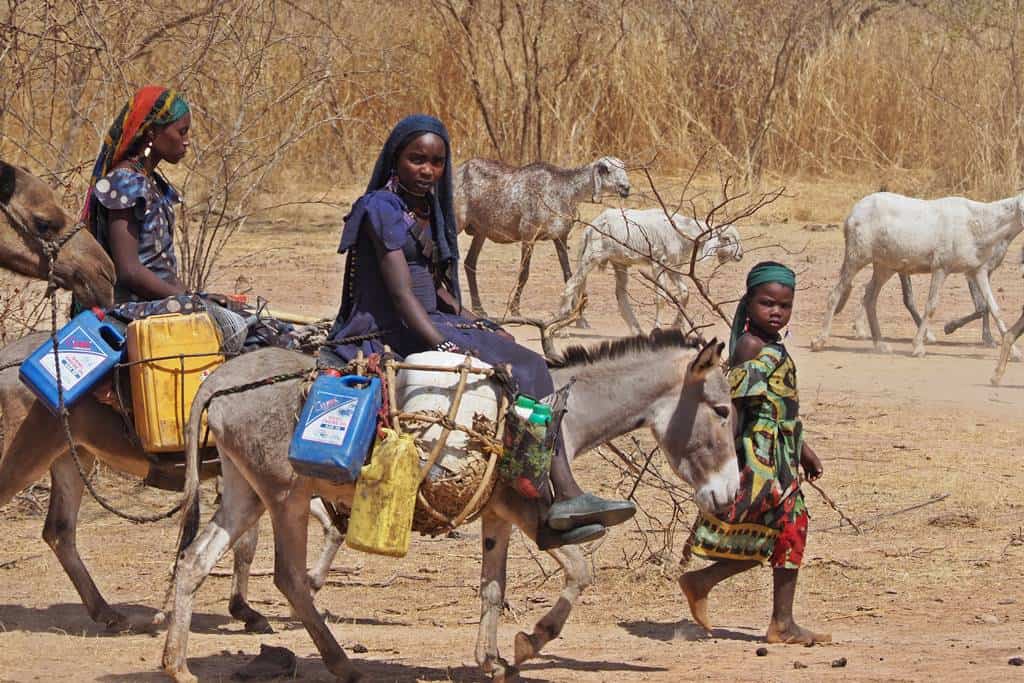 People and cultures in Chad, encounters across the Sahel - Kumakonda
