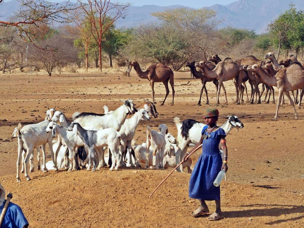 People and cultures in Chad, encounters across the Sahel - Kumakonda