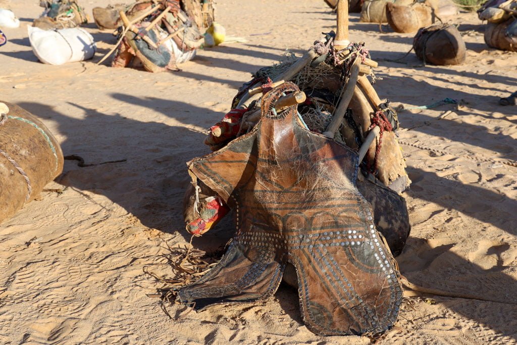 🐪 Salt caravans in the Sahara, resistance or death
