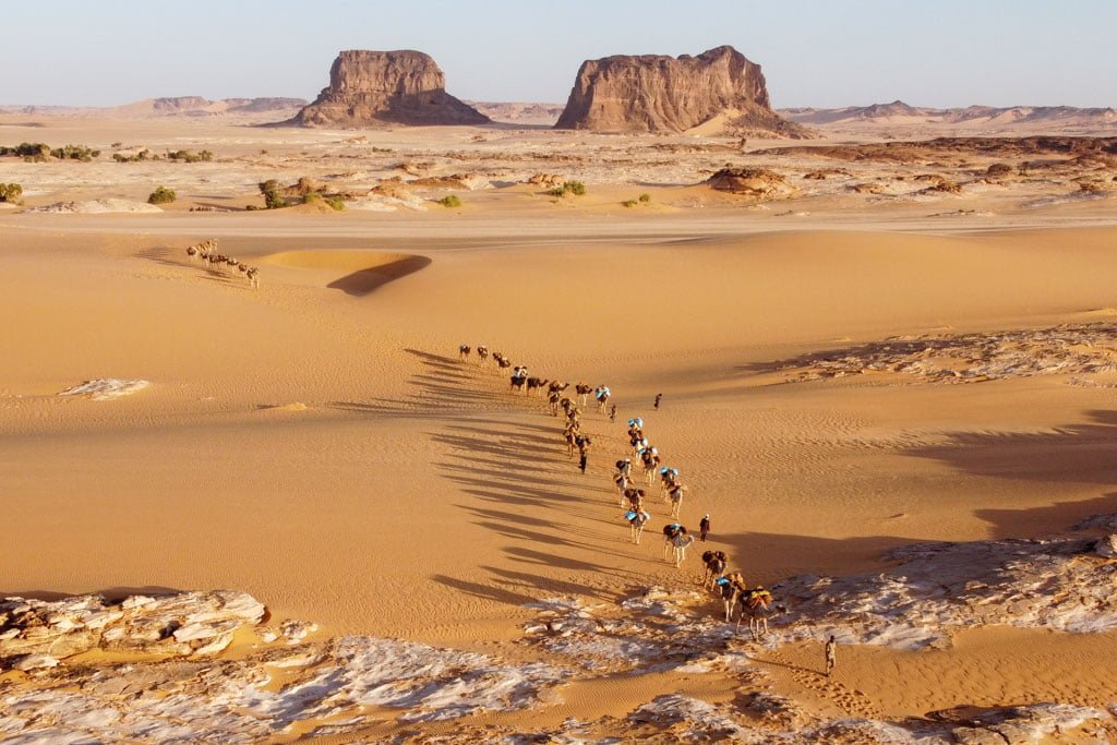 🐪 Salt caravans in the Sahara, resistance or death