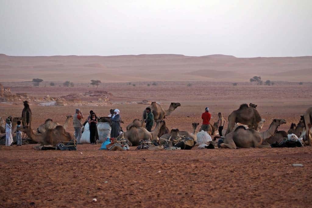 Ennedi; the Eden of the Sahara. Chronicles of a tour to Chad II