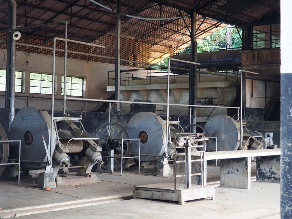 Yangambi, treasures in the Congo Basin - Kumakonda