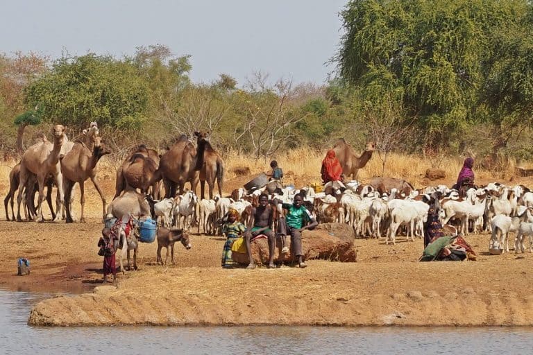 People and cultures in Chad, encounters across the Sahel - Kumakonda