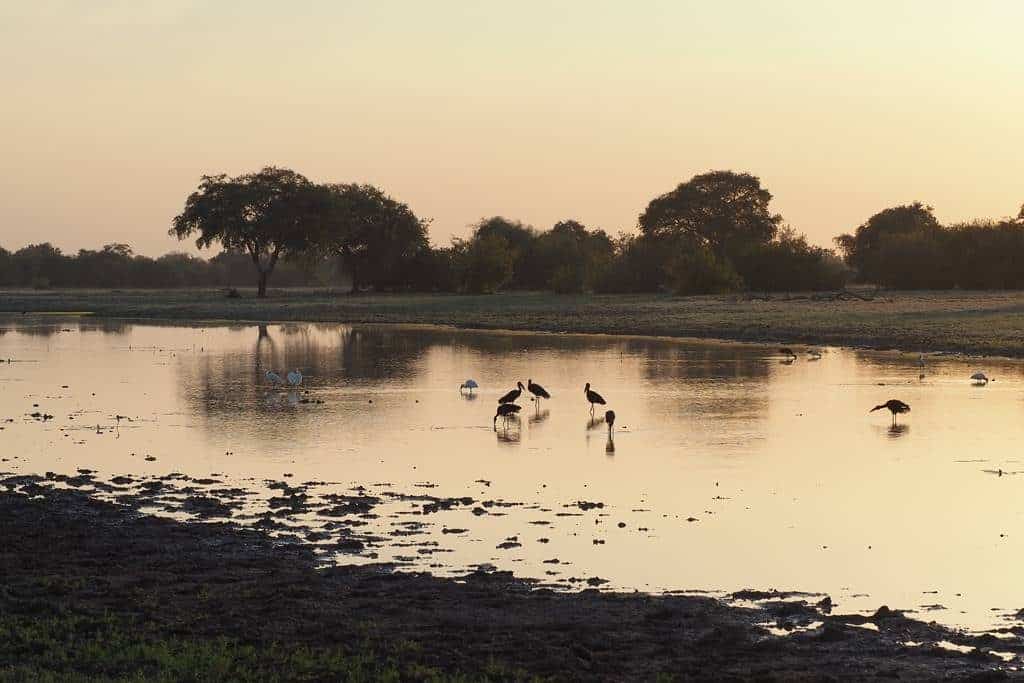 Zakouma National Park in Chad - Safari Experience - Kumakonda